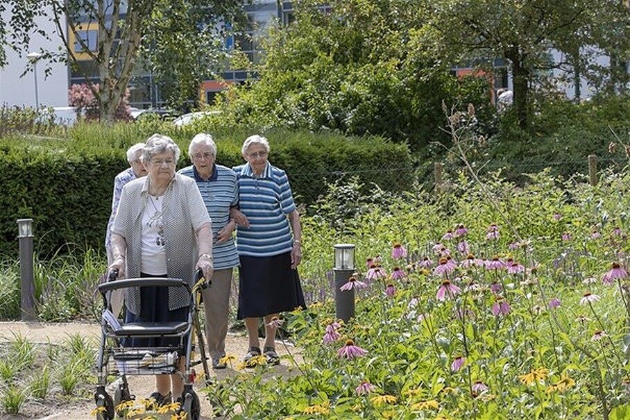 Ouderen hebben baat bij groene openbare ruimte | ZorgSaamWonen